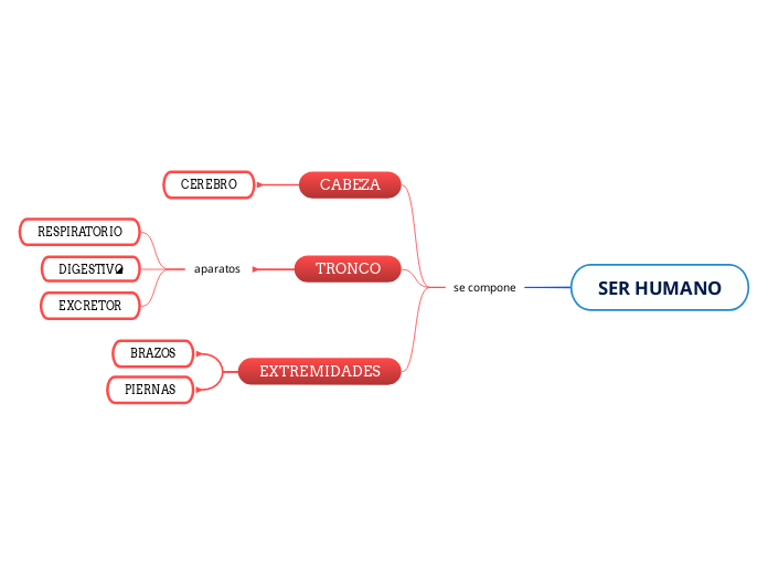 SER HUMANO - Mind Map